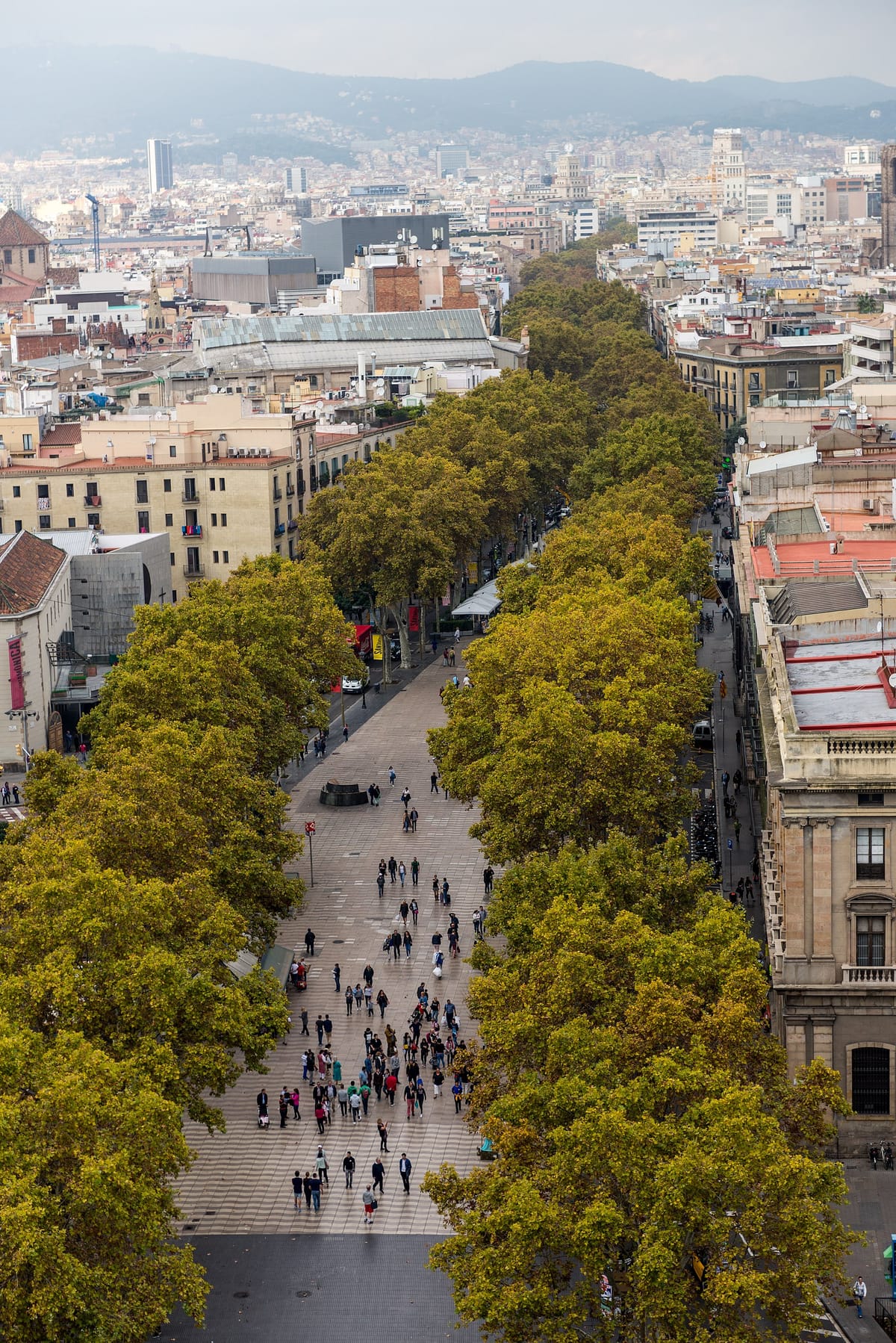 Best Restaurants Near Camp Nou: Matchday Food Guide | Friends of Barça